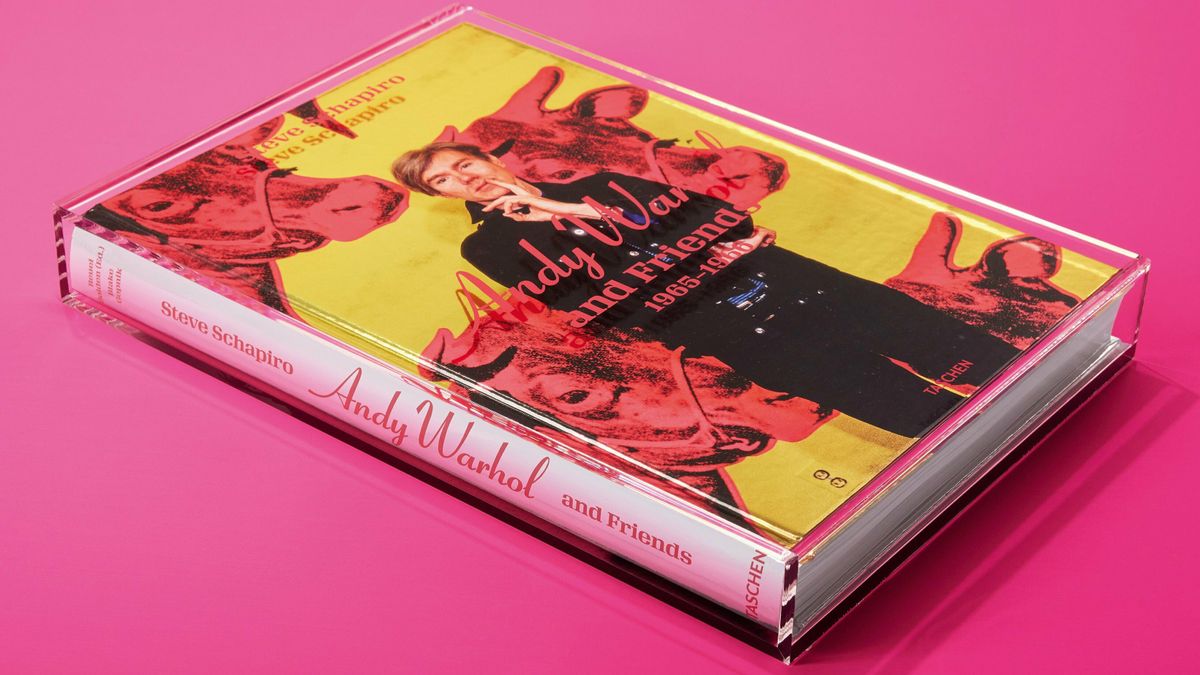 Steve Schapiro, Andy Warhol and Friends photo book depicts early years ...