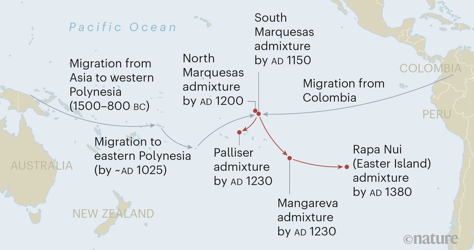 Polynesians and Native Americans paired up 800 years ago, DNA reveals ...