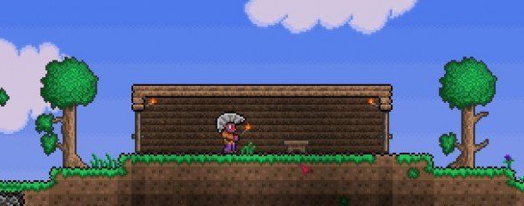 Terraria beginner's guide | PC Gamer