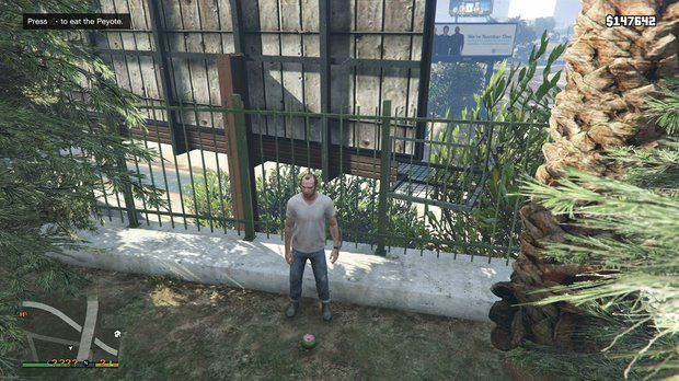 GTA 5 Peyote Plant locations to find every cactus | GamesRadar+