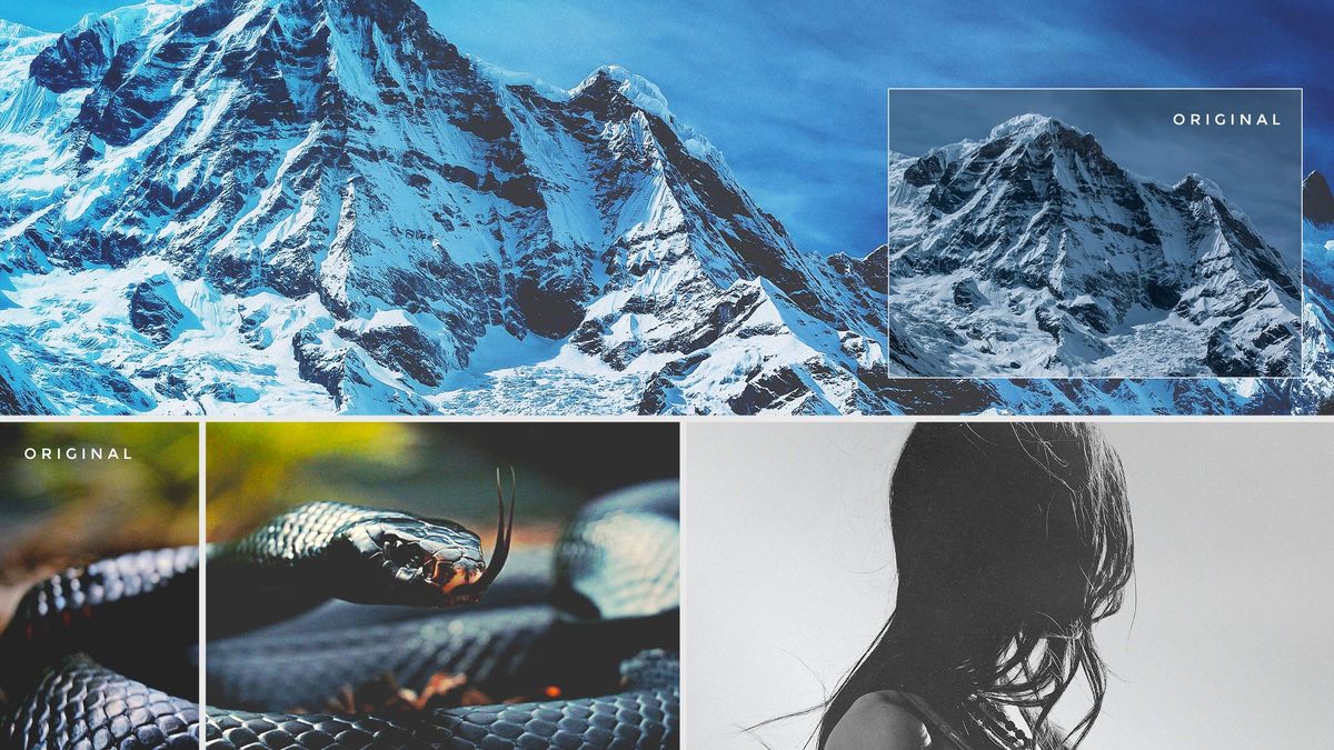 The 10 best new graphic design tools for June | Creative Bloq