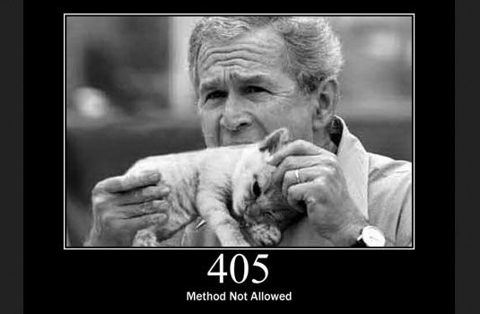 HTTP status codes expressed as cats | Creative Bloq