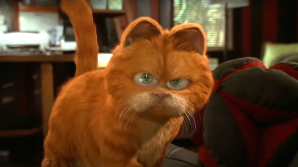 32 Amazing Cats In Hollywood History | Cinemablend