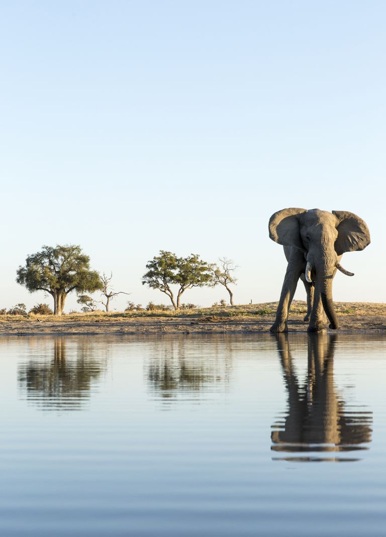 32 of the best places to go on safari - including the UK and Europe ...
