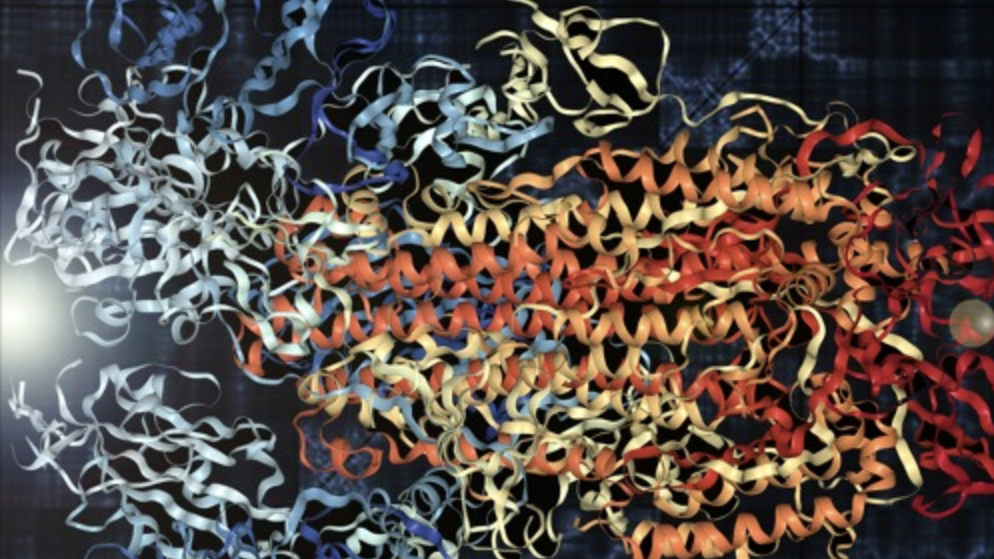 Engineers have turned COVID-19's unique 'crown' protein structure into ...