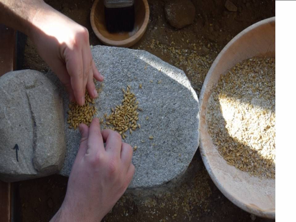 Ancient Ale: Oldest Beer in Greece Dates to Bronze Age | Live Science