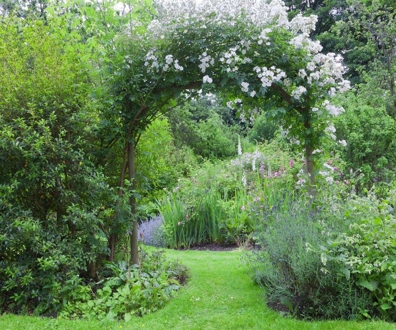 How to maintain a tidy garden: 8 tips from gardening pros | Homes and ...