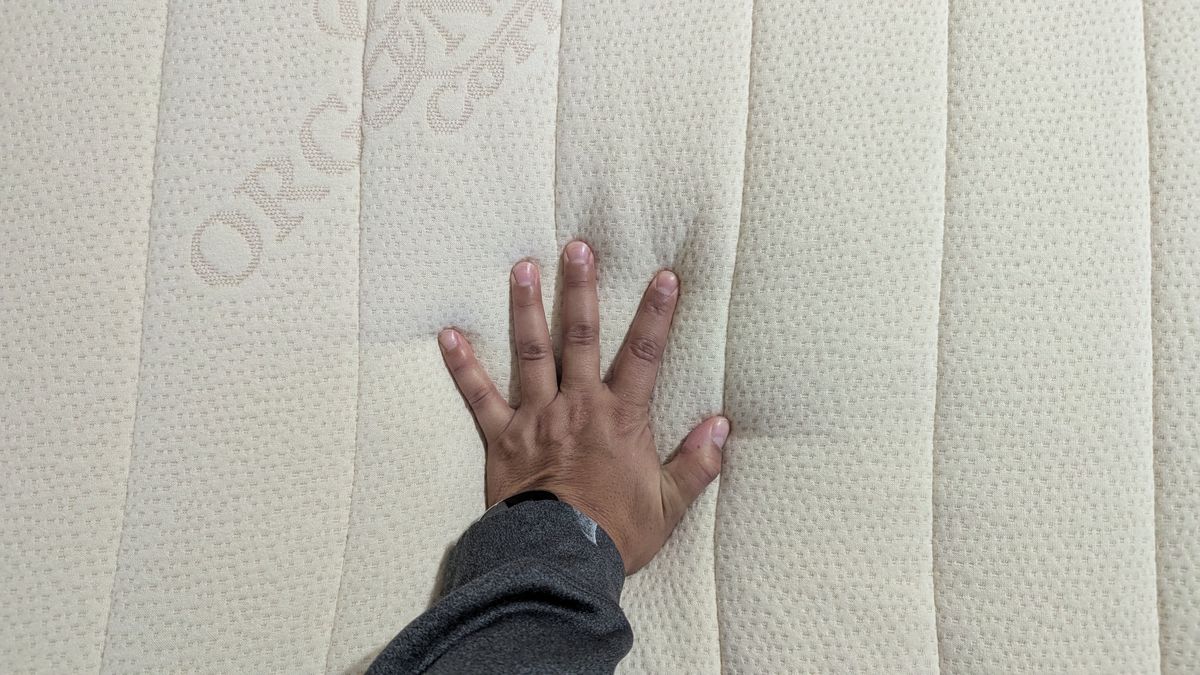 We tested the PlushBeds Botanical Bliss Organic Latex mattress — and it ...