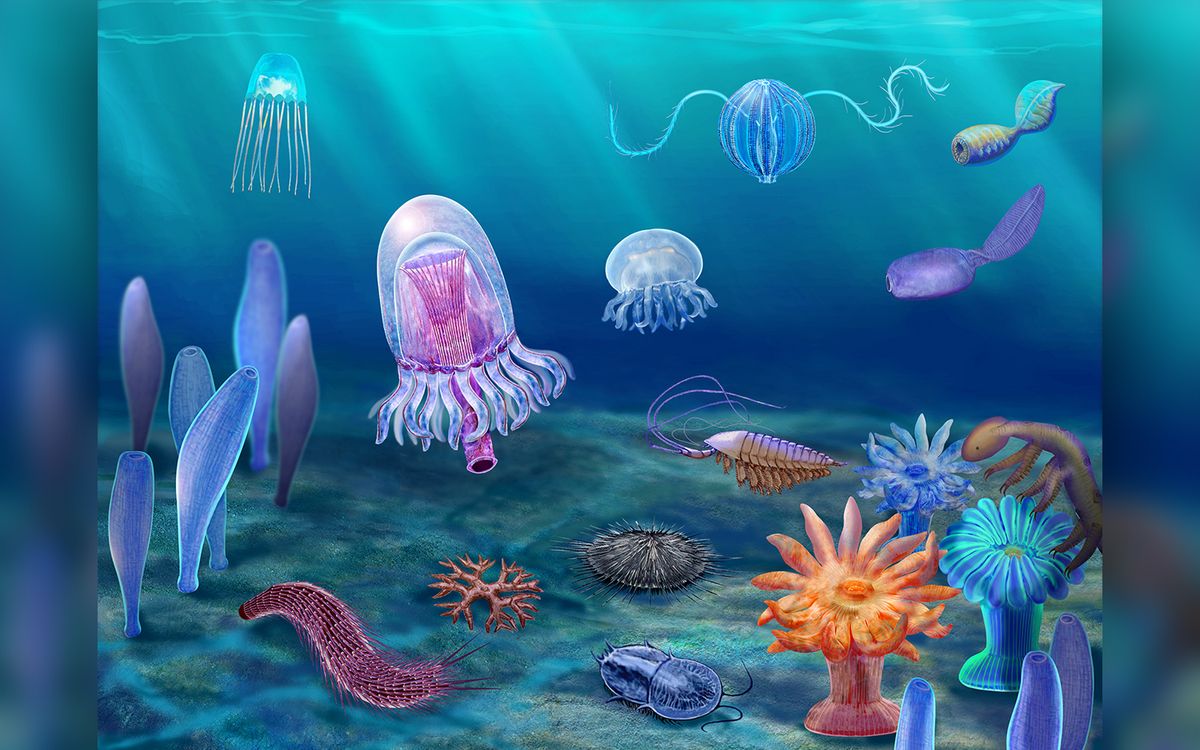 Bonanza of Bizarre Cambrian Fossils Reveals Some of the Earliest ...