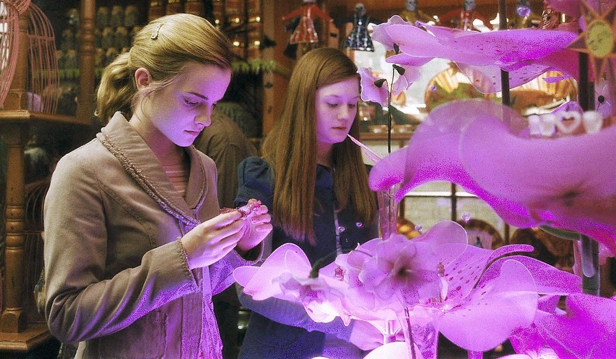 Harry Potter: 9 Strange Things That Happen In The Wizarding World We ...
