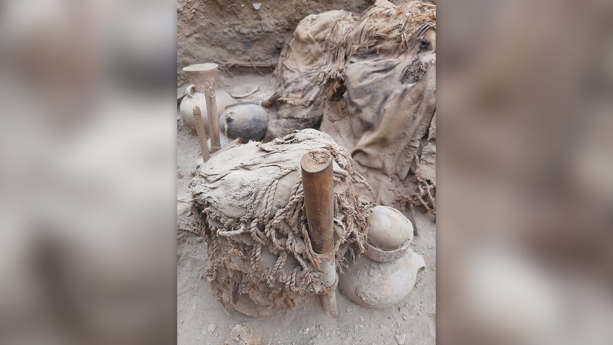 73 pre-Incan mummies, some with 'false heads,' unearthed from Wari ...