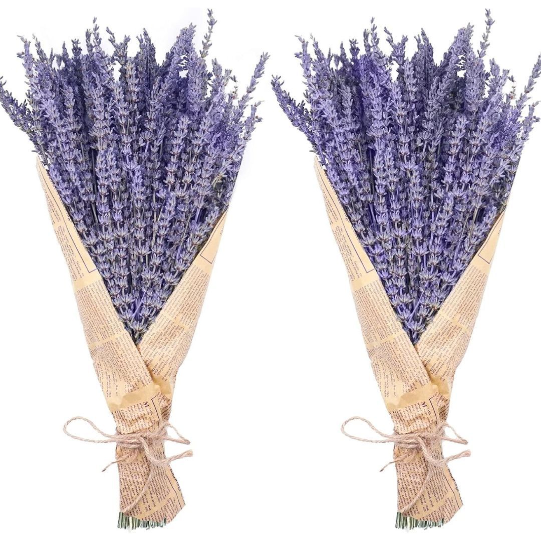 How Far Apart Should You Plant Lavender? This Method Will Give You ...
