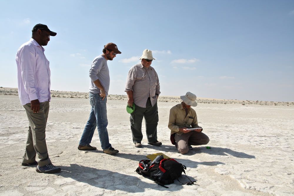 Album: Finding Elephant Tracks in the Desert | Live Science