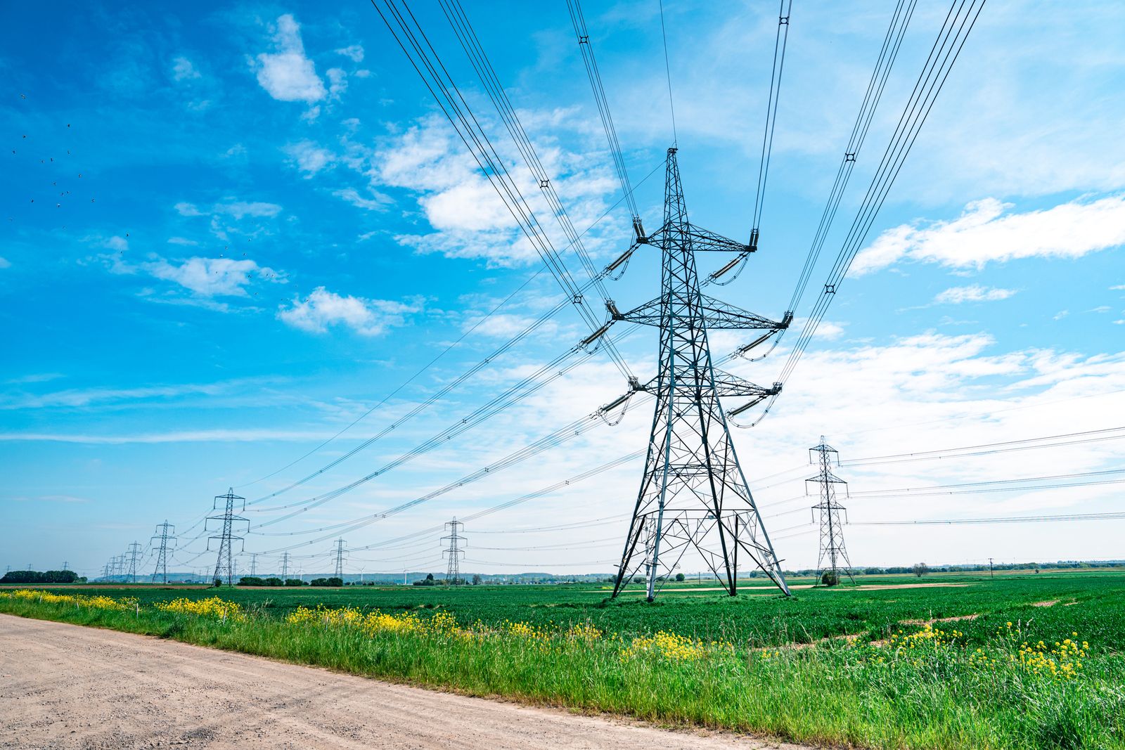 Should you switch to a fixed energy tariff? | MoneyWeek