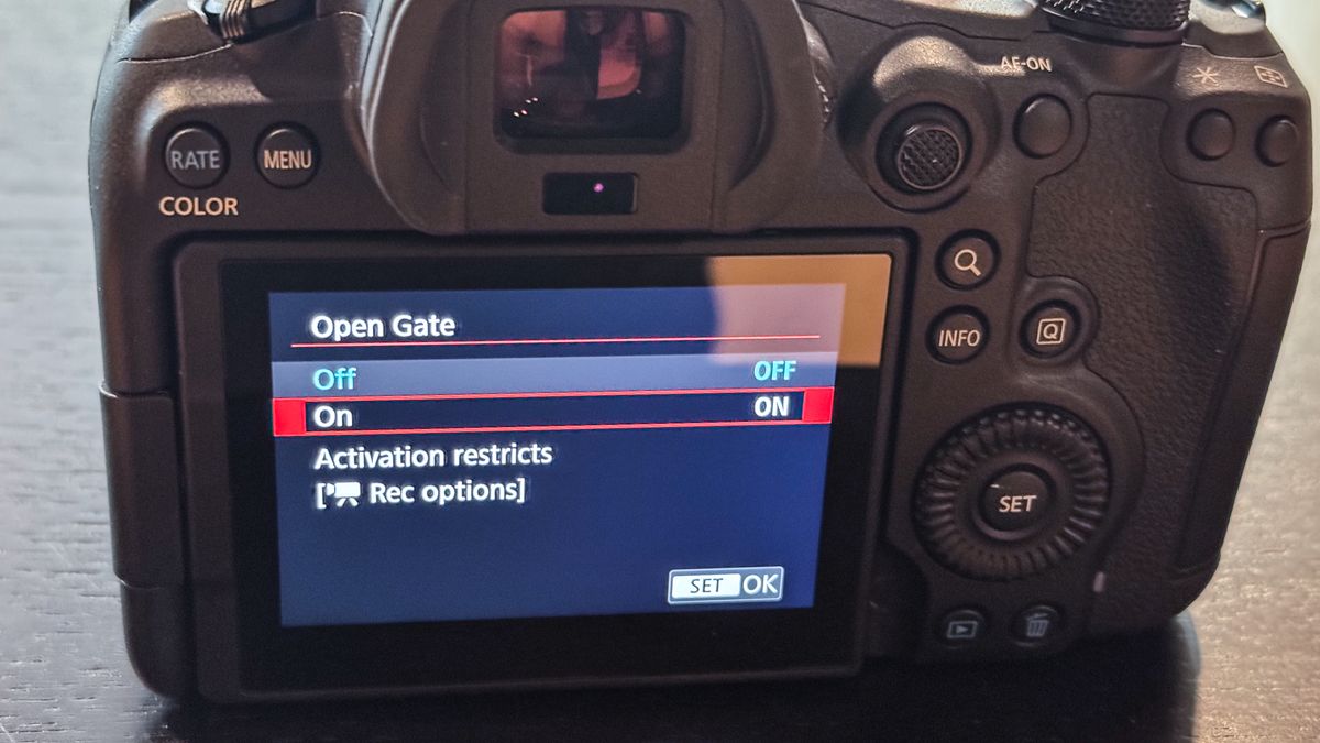 Canon EOS R6 Mark II vs R6 Mark III: What's the difference? | Digital ...
