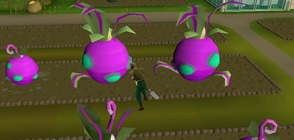 Old School Runescape gets new continent | PC Gamer