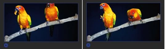 Build a custom HTML5 video player | Creative Bloq