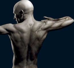 10 anatomy tips for 3D artists | Creative Bloq