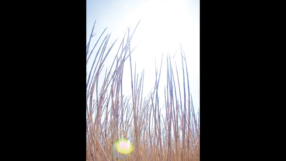 26 camera effects – from A to Z | Digital Camera World