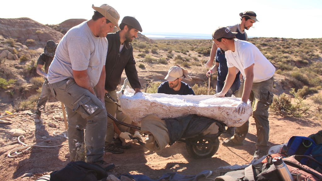 Humongous, 100-foot-long dinosaur from Argentina is so big its fossils ...