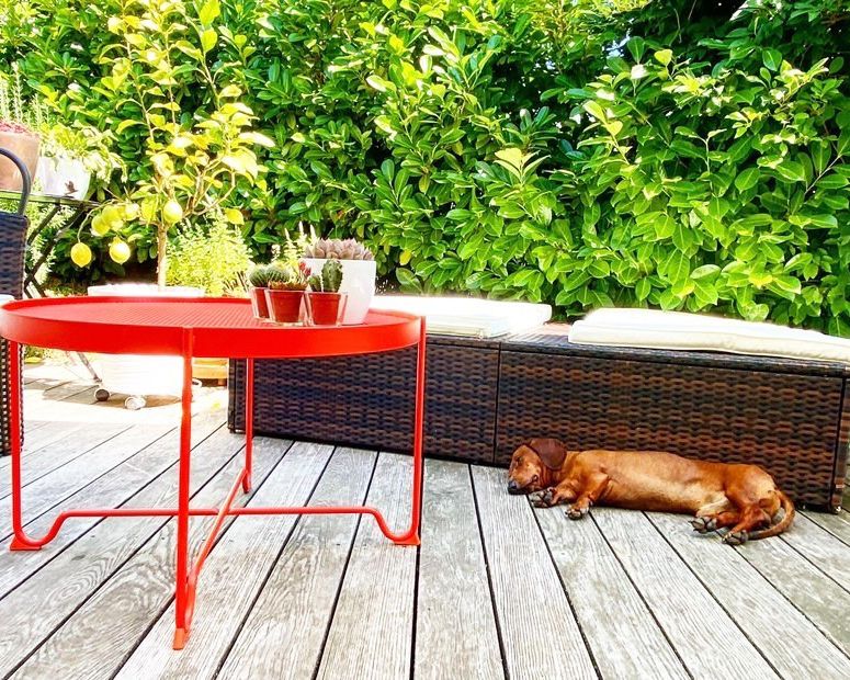 5 ways to style the IKEA KROKHOLMEN coffee table | Livingetc