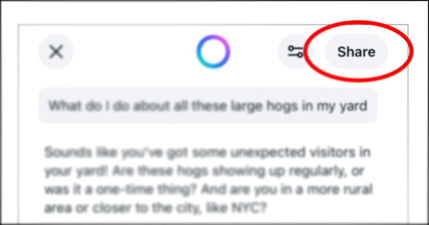 How to Send Text Messages Via Snapchat | Laptop Mag