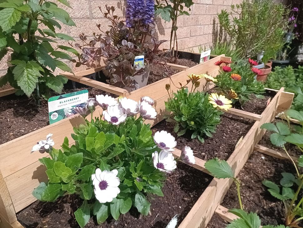 Planet Computers Astro Slide 5G review | TechRadar