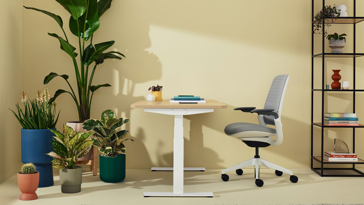 Steelcase Solo height-adjustable standing desk review | TechRadar