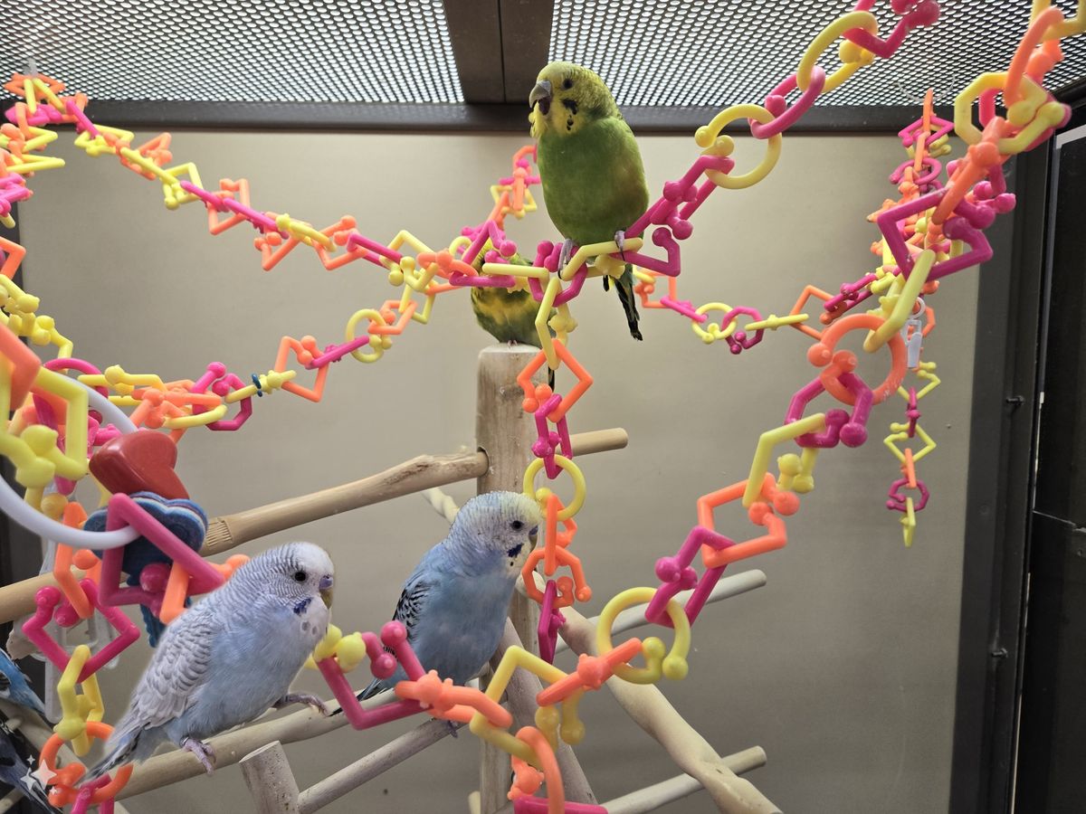 I edited these photos with the Galaxy S24's Generative Edit — and they ...