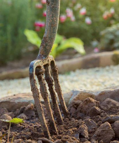 How to plan garden borders in 8 easy steps | Gardeningetc