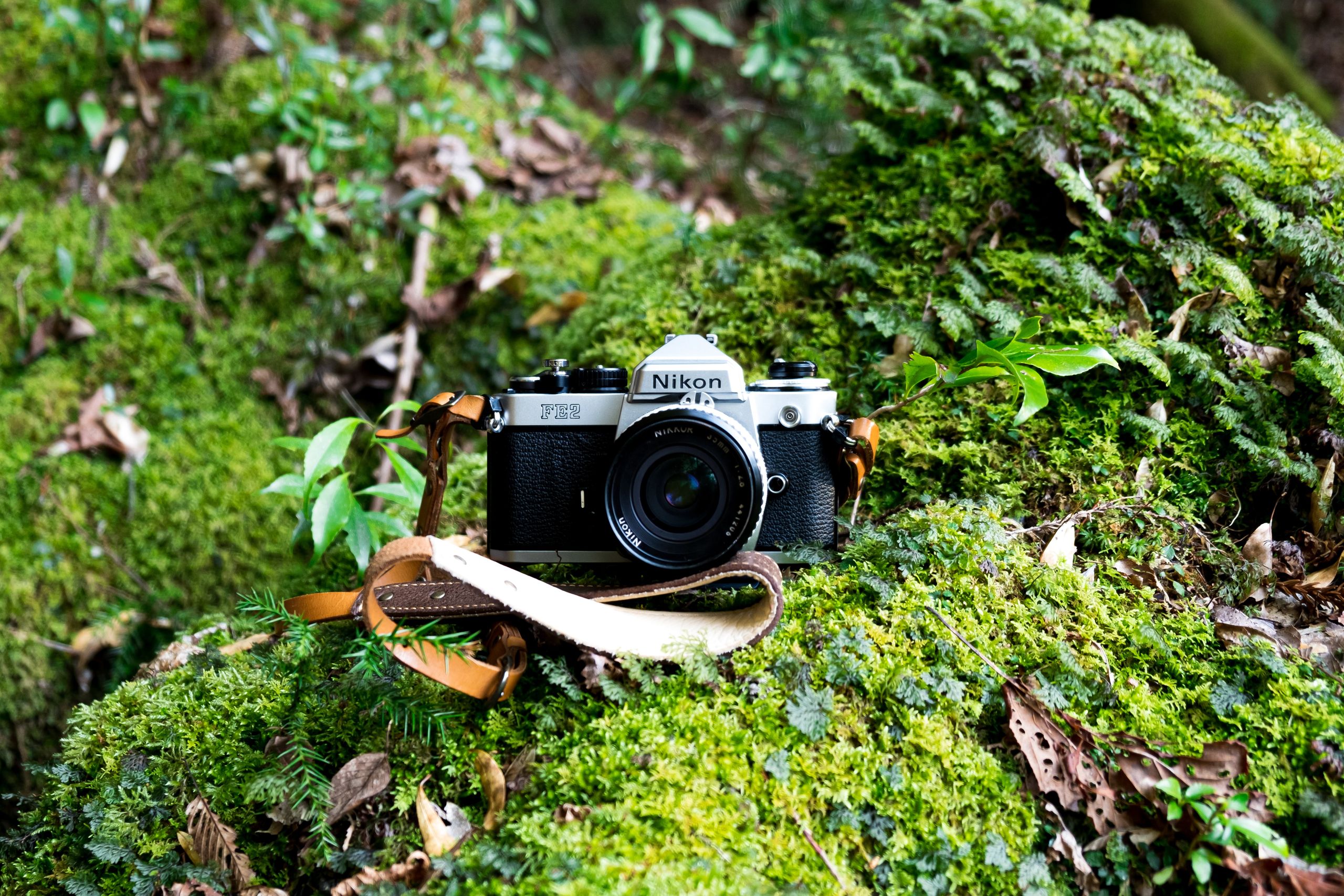 Despite rising prices, demand for film cameras is surging — 50% ...