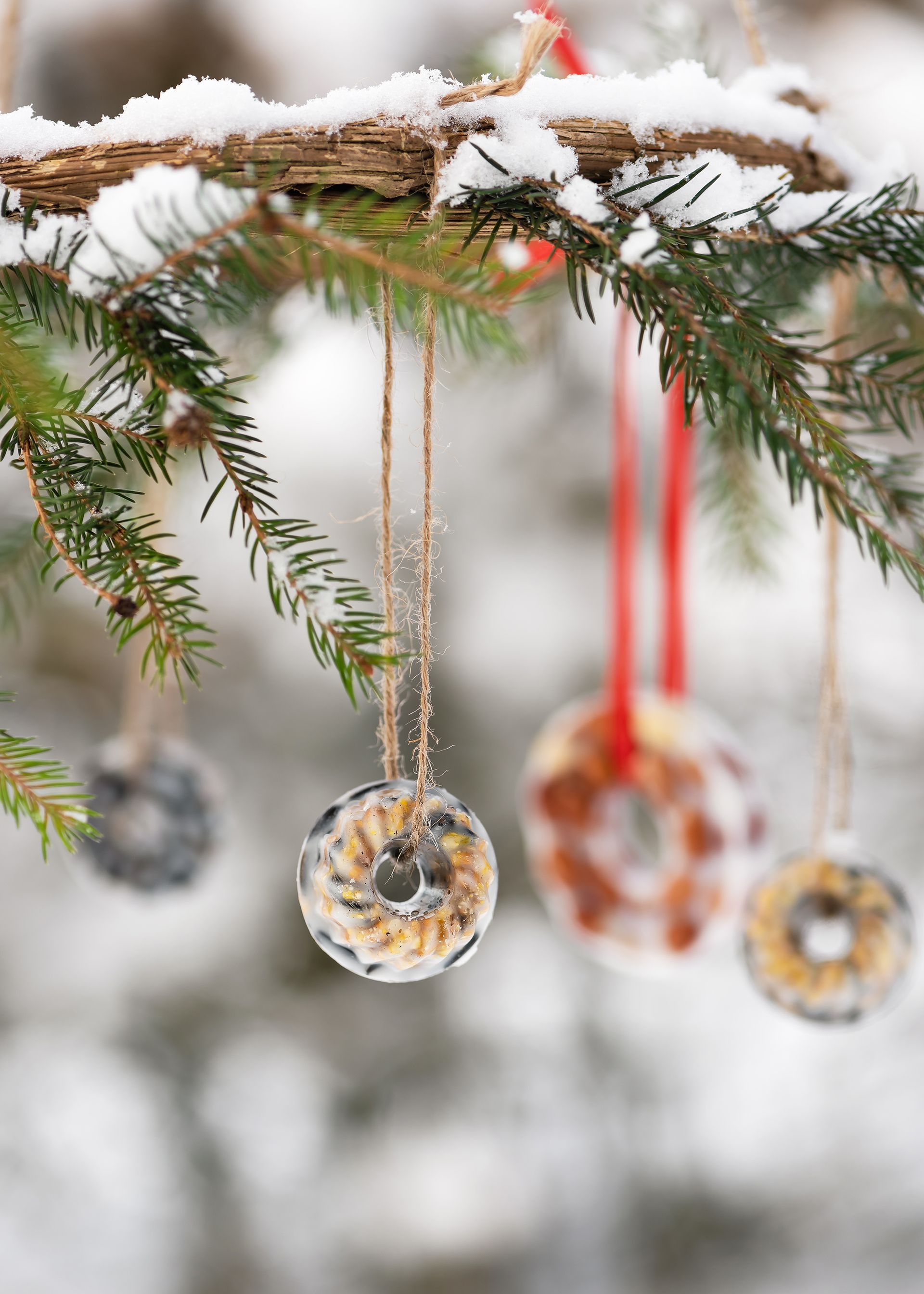 How to make fat balls for birds in 4 easy steps | Homes and Gardens