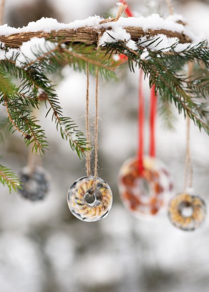 How to make fat balls for birds in 4 easy steps | Homes and Gardens