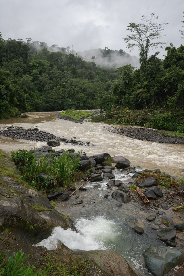 Ami Vitale is sending one photographer to the Amazon Rainforest with ...