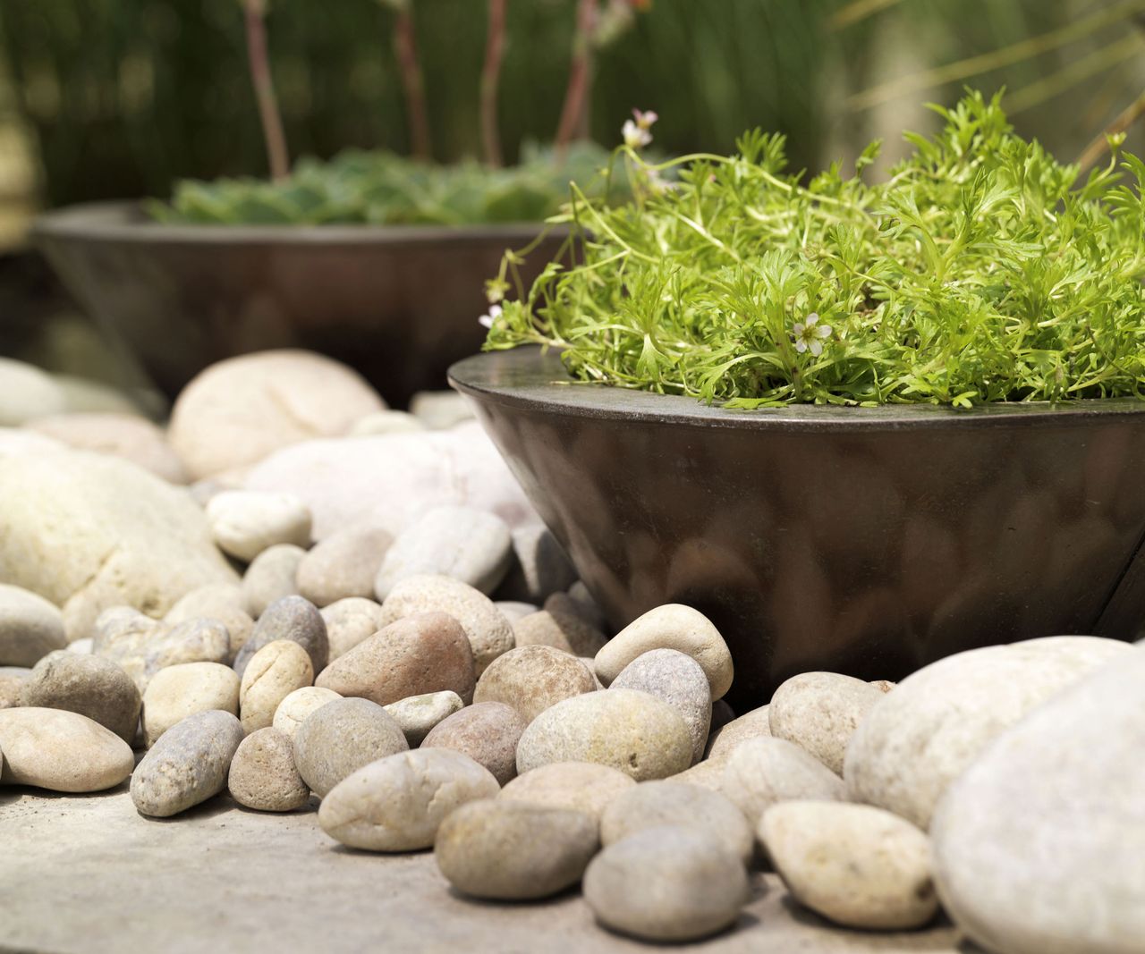 Front yard rock landscaping ideas: 10 eye-catching looks | Homes and ...