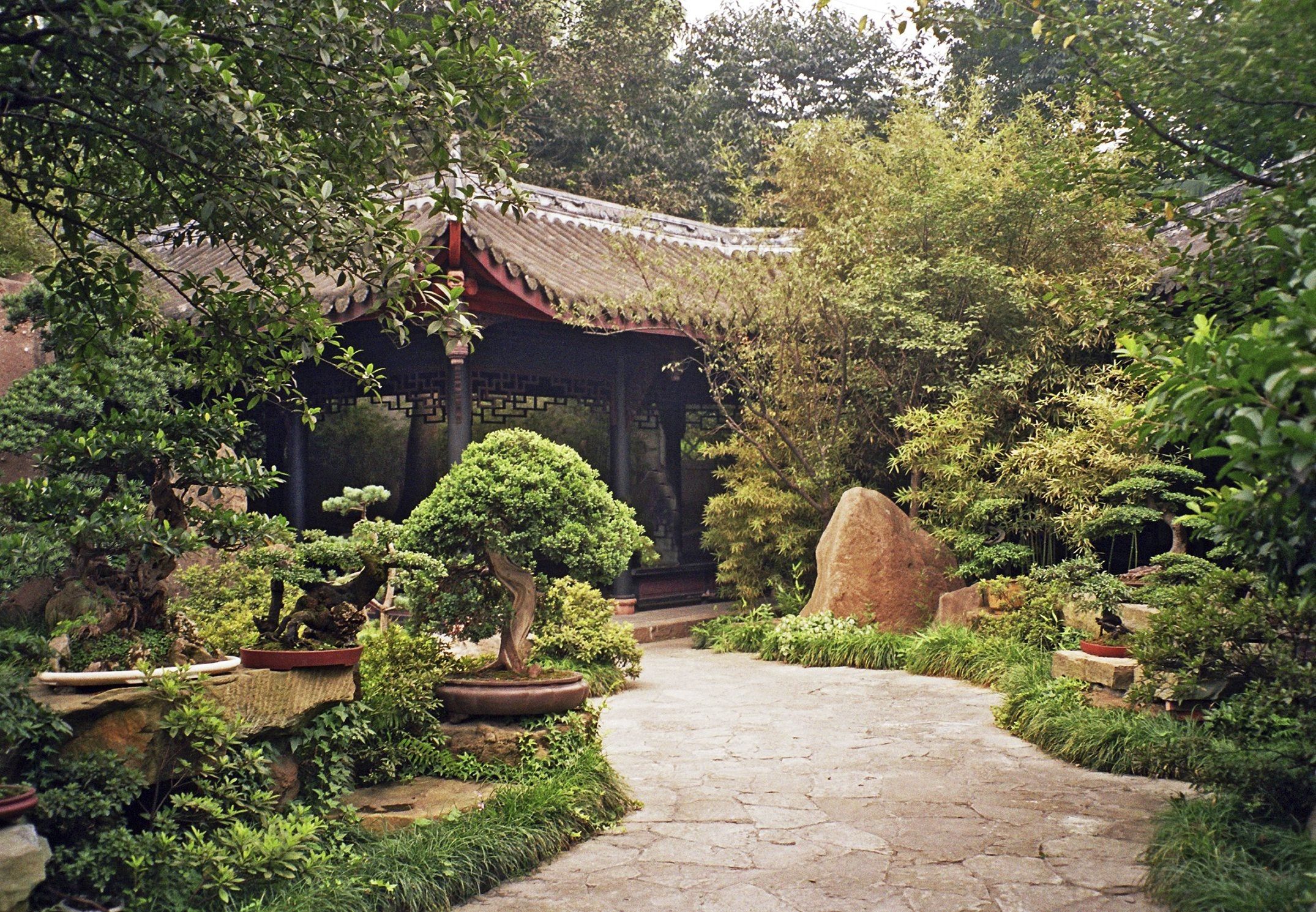 Chinese Garden Plants - How To Create A Chinese Garden Style ...