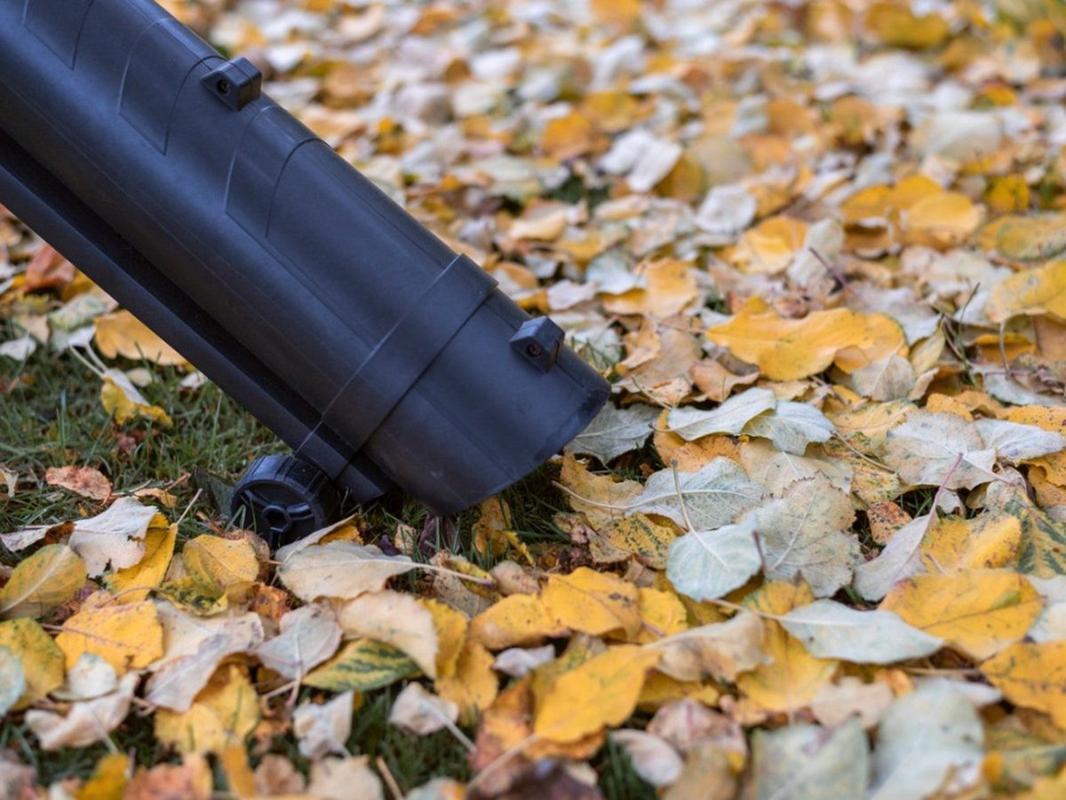 Pros And Cons Of Leaf Vacuums | Gardening Know How