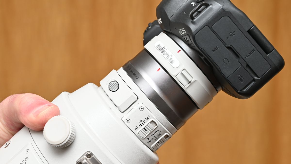 Canon Extender RF 1.4x review: a revamped teleconverter for the EOS R ...
