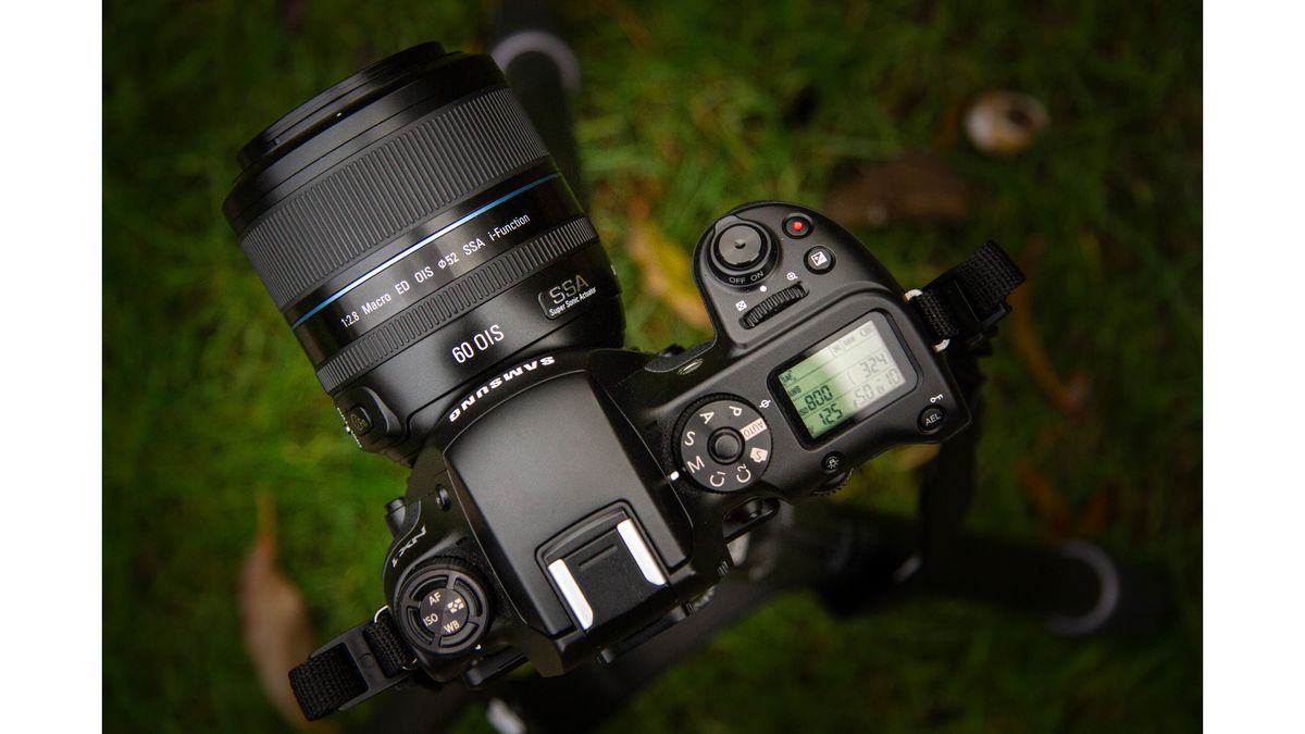 Create amazing macro panoramas with your camera | Digital Camera World