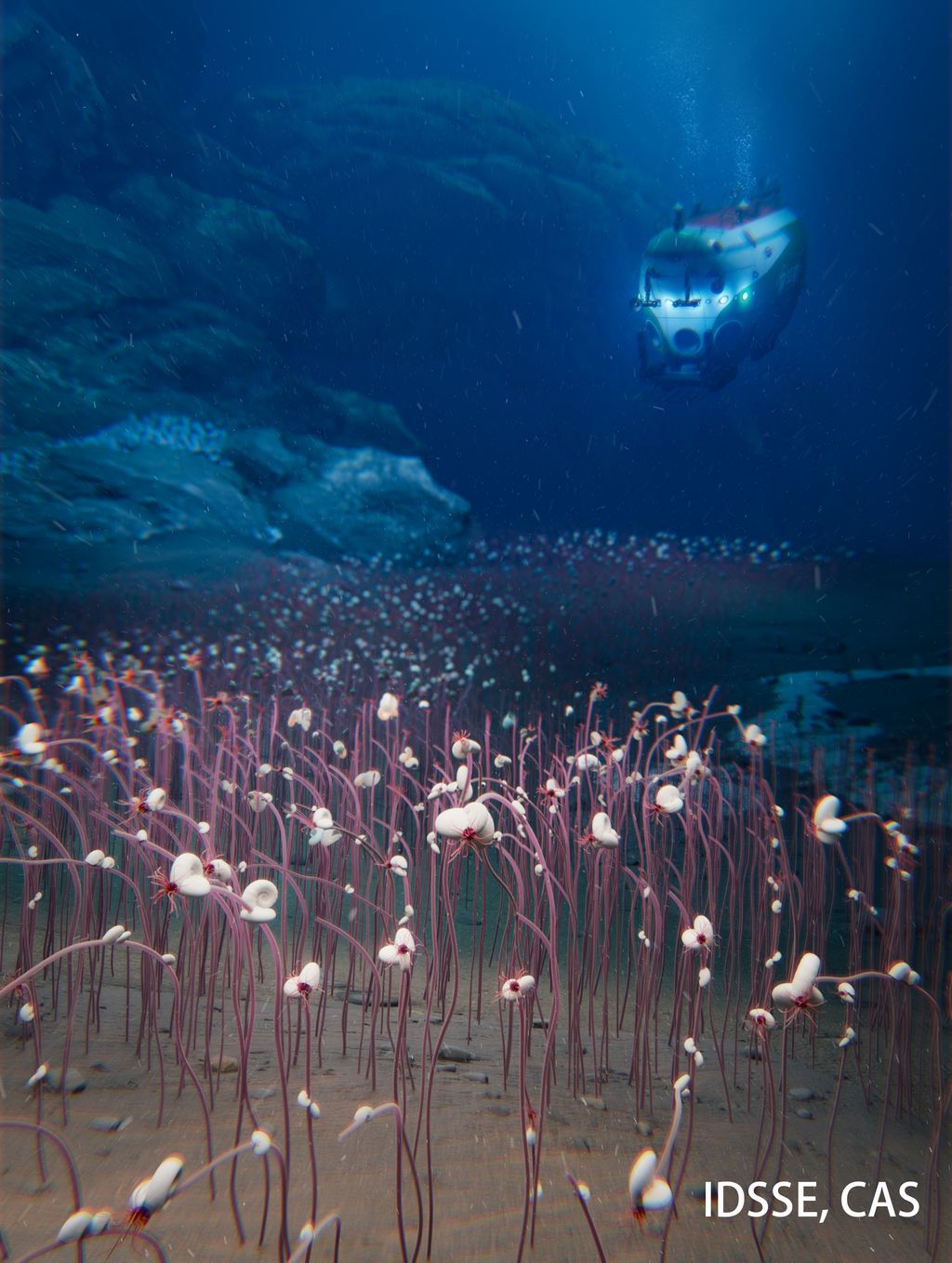First-of-its-kind footage captures bizarre sea creatures flourishing in ...