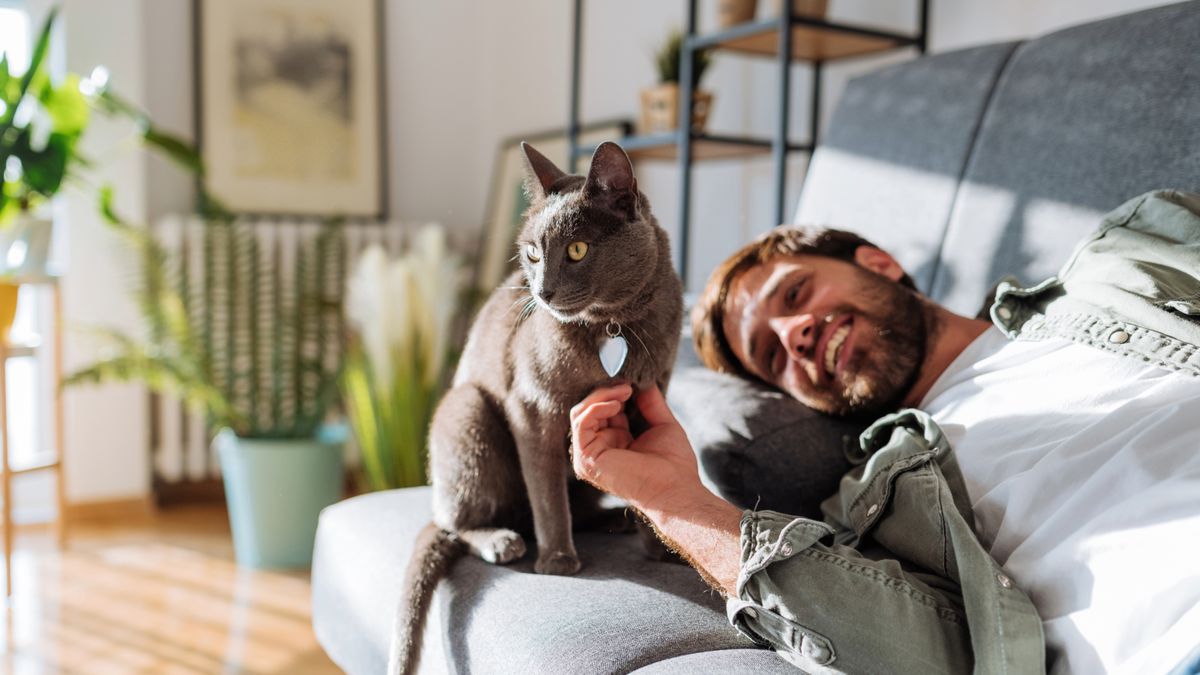 32 of the sweetest ways cats show affection | PetsRadar
