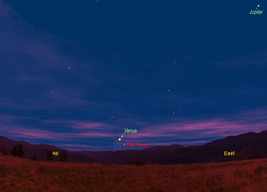 Moon & Venus to Shine Together at Dawn Thursday | Space