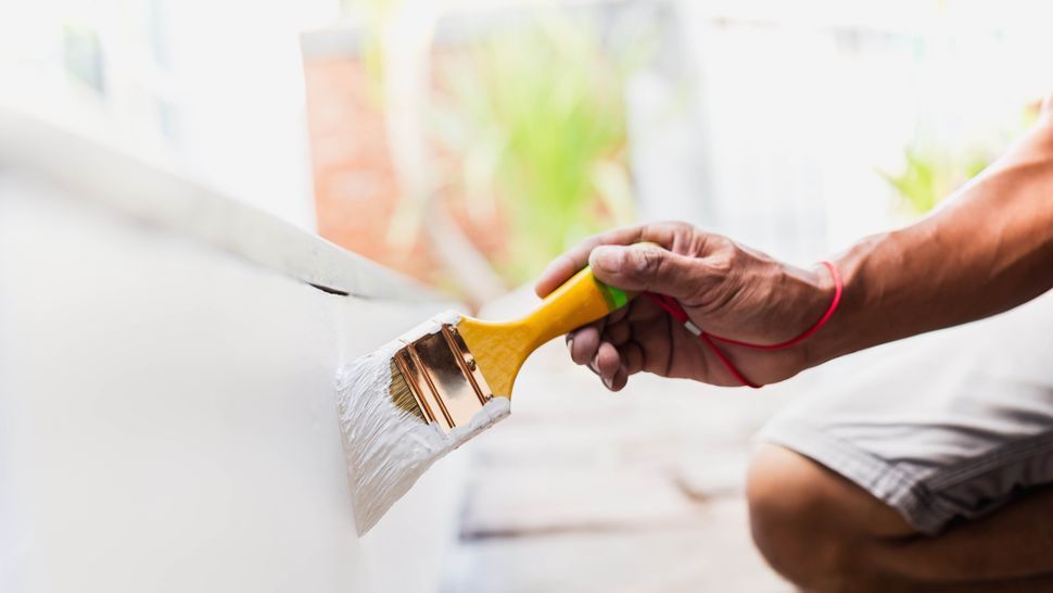 Decorating expert reveals this is the best time of year to paint your ...