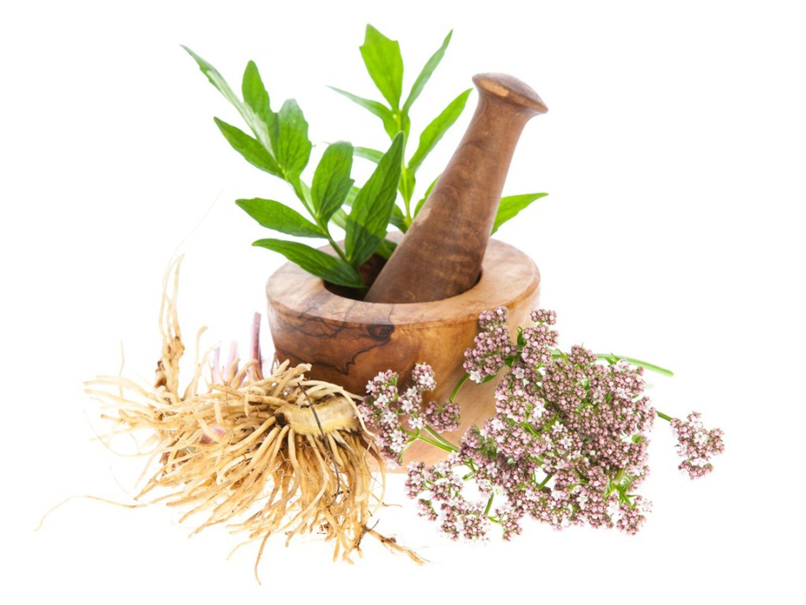 What Is A Poultice: How To Make A Poultice From Herbs In The Garden ...