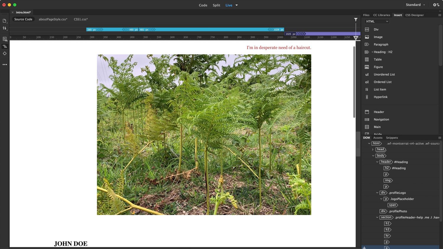 How to download Dreamweaver for free or with Adobe Creative Cloud ...