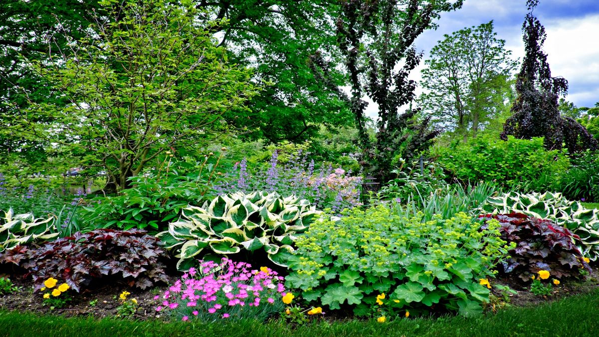 How to create a foliage border for year-round interest | Homes and Gardens