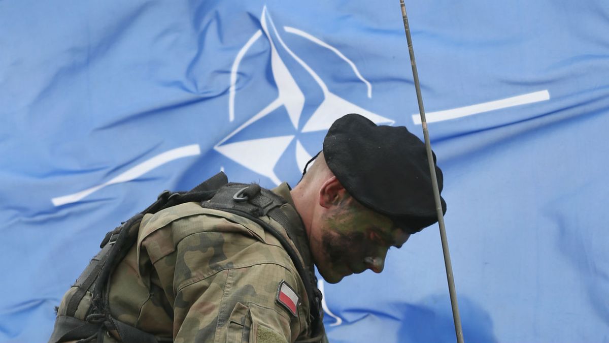 What Is The Point Of Nato The Week what-is-the-point-of-nato-the-week