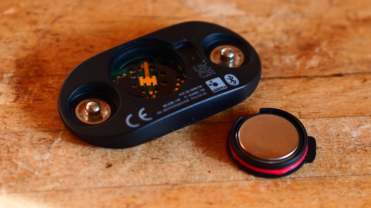 Polar H9 heart rate monitor review: Simple and reliable heart rate ...