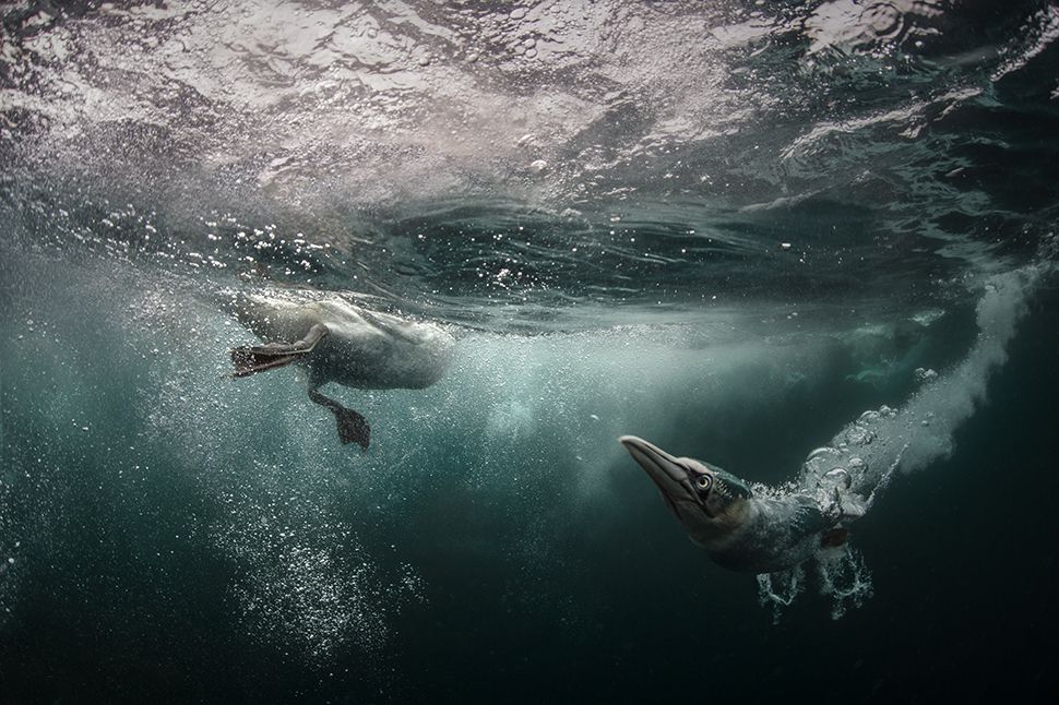 Digital Camera's top 5 water photography tips | Digital Camera World