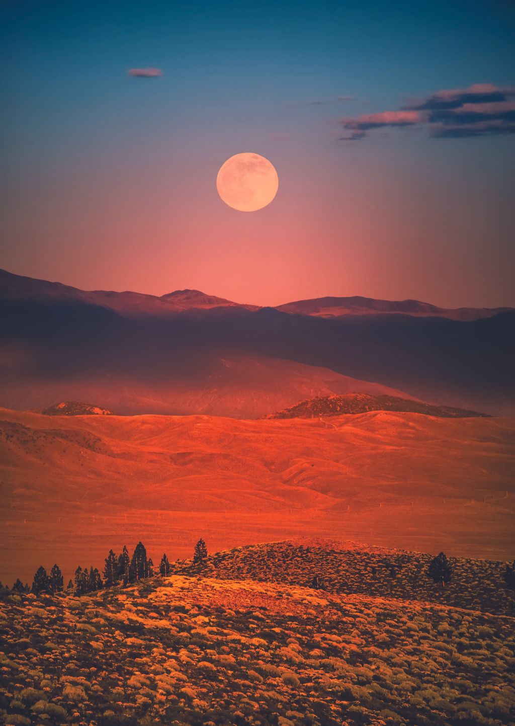 Learn how to unlock stunning natural colors in your photos | Digital ...